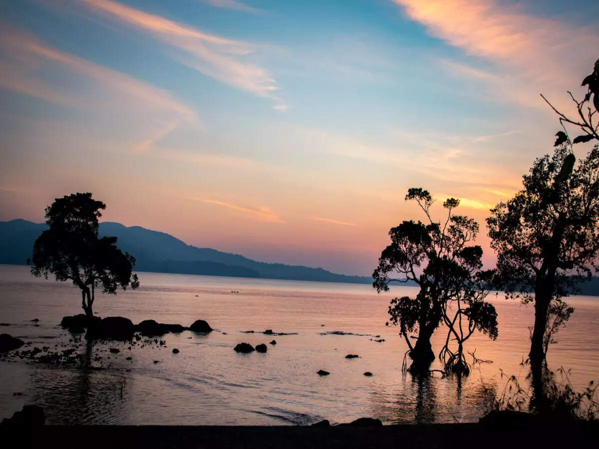 Discover Goa’s dual charms: Dive into the vibrance of Dabolim and the ...