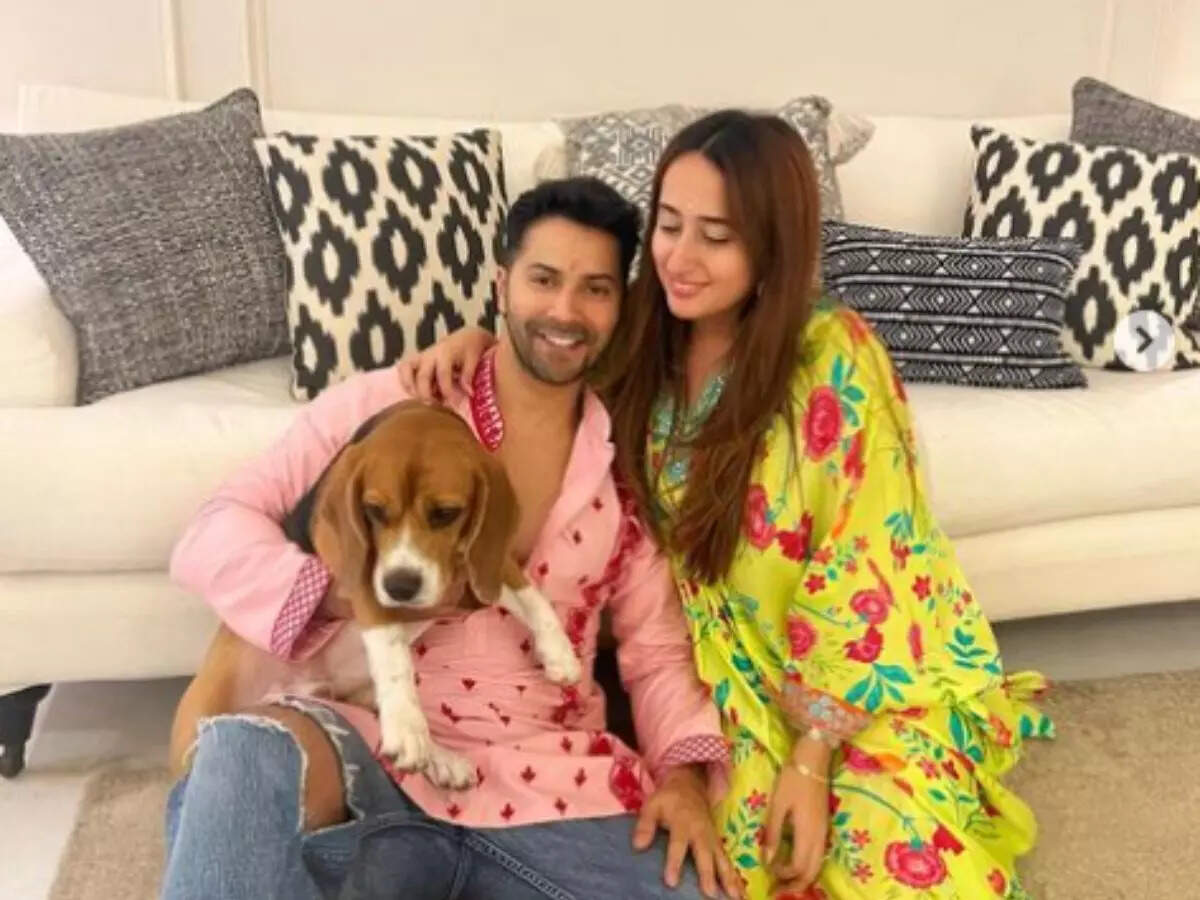 Parents-to-be Varun Dhawan and Natasha Dalal's relationship decoded