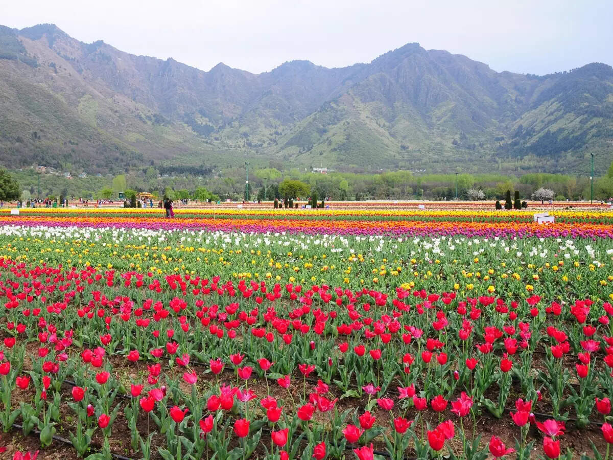 Spring Destinations in India: Destinations in India that are best ...