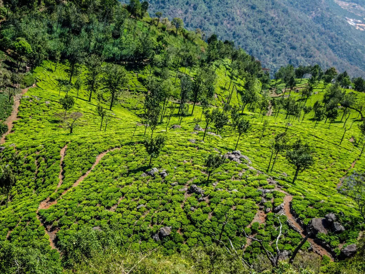 Spring Destinations in India: Destinations in India that are best ...