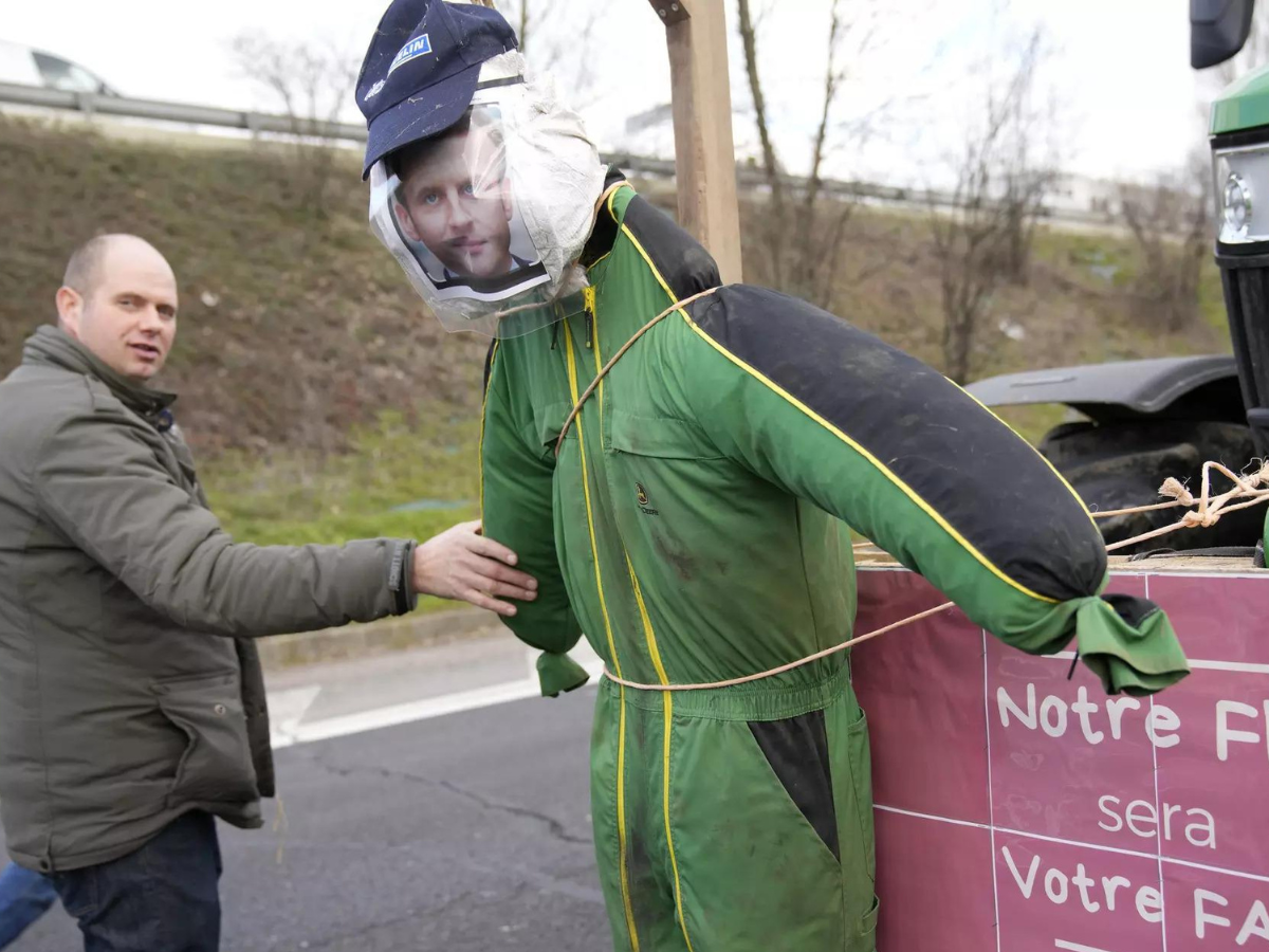 Tractorcade parade: Why are farmers protesting around the world