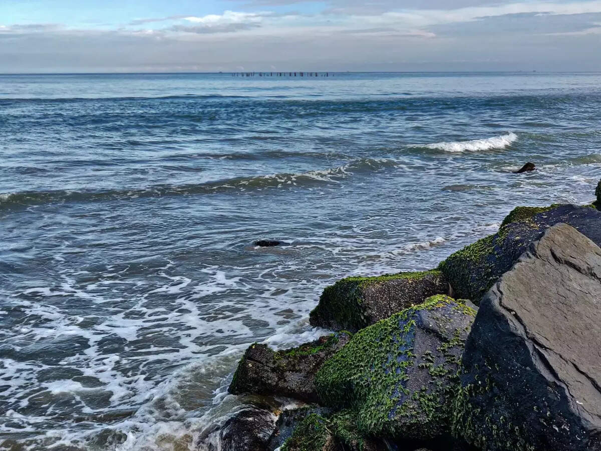 Visit Puducherry for its most stunning and fun beaches | Times of India ...