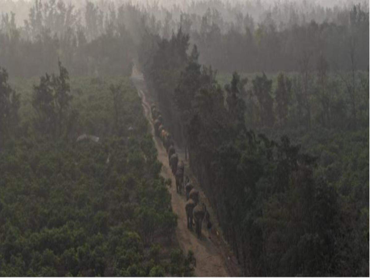 Vantara: Can you visit Vantara, Anant Ambani’s ambitious wildlife ...