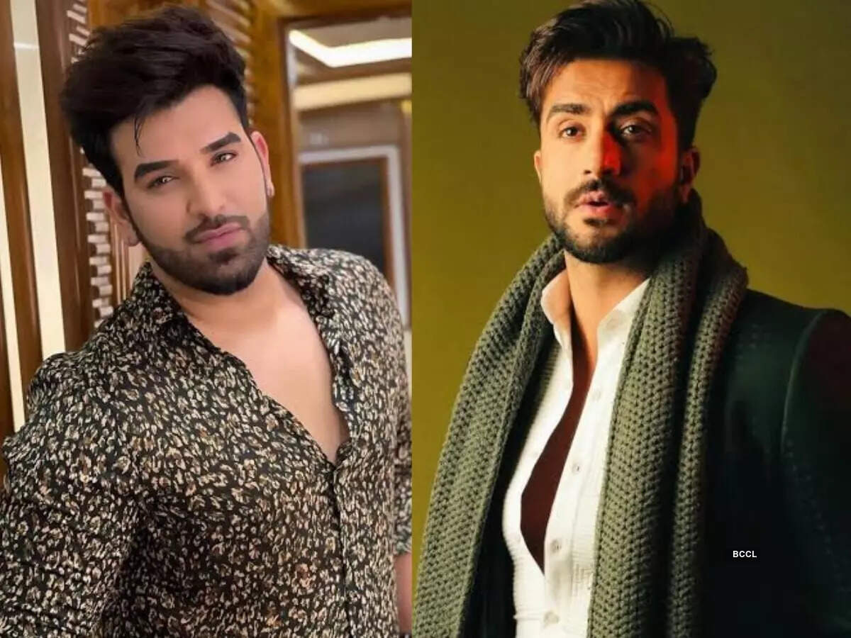 From Paras Chhabra to Aly Goni: Contestant who shot to popularity after ...