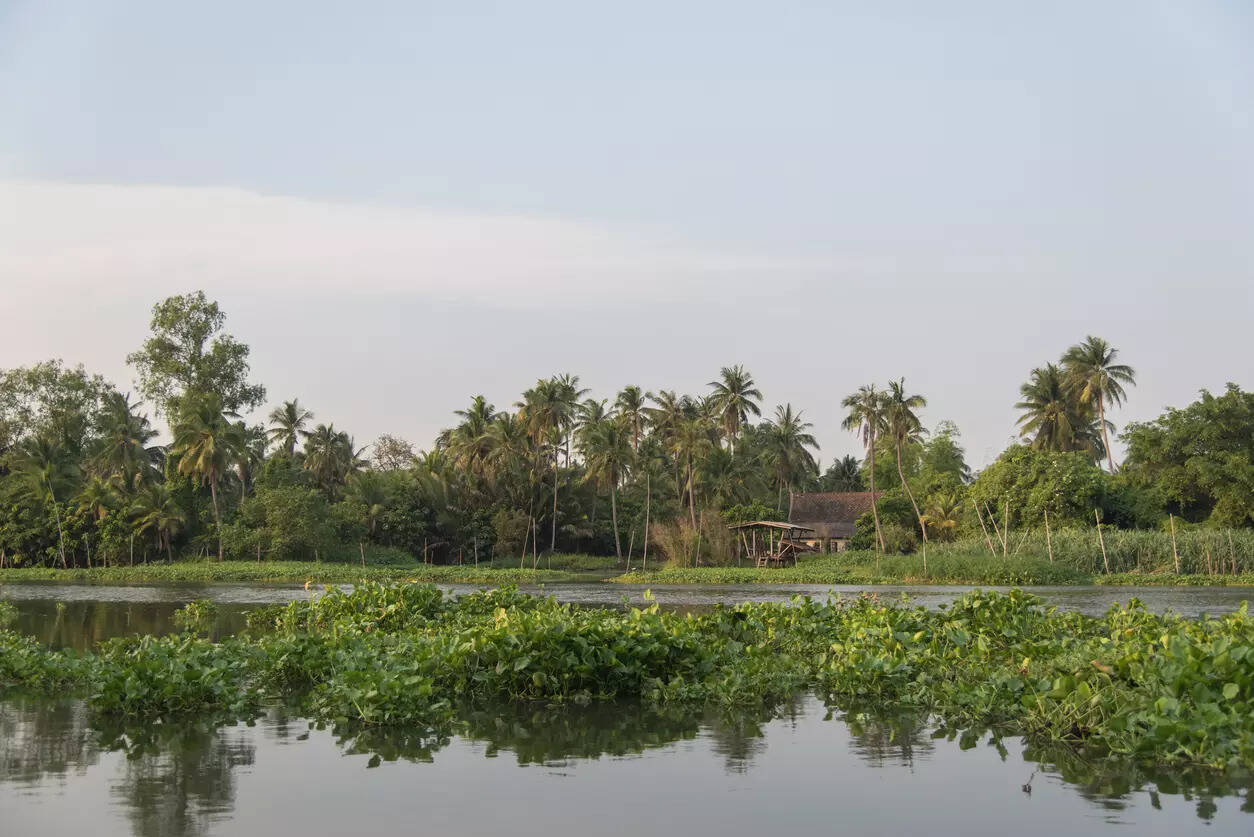 Assam: Exploring Mayong, the land of black magic and witchcraft | Times ...