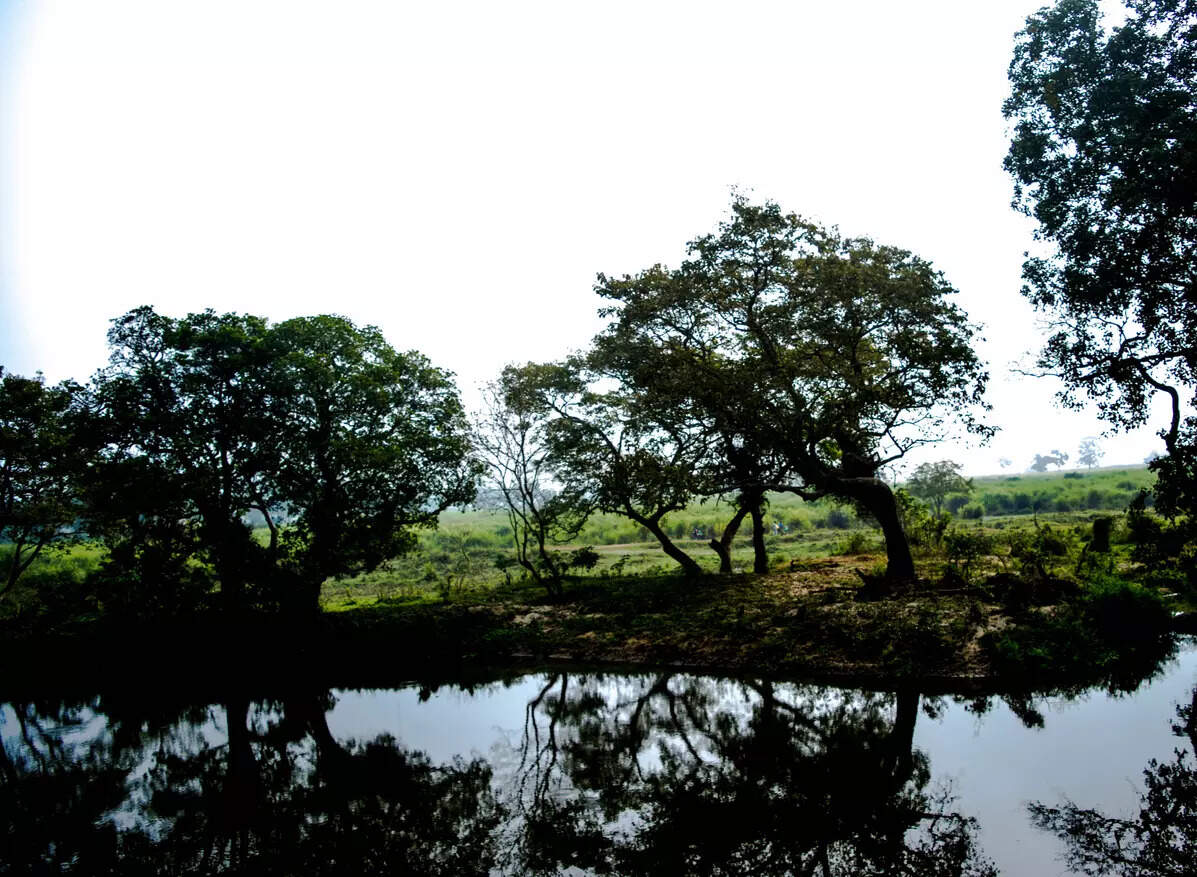 Assam: Exploring Mayong, the land of black magic and witchcraft | Times ...