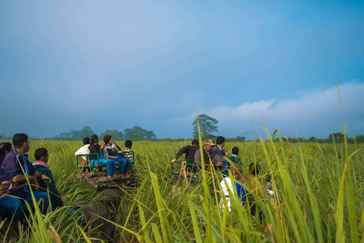 Assam: Exploring Mayong, the land of black magic and witchcraft | Times ...