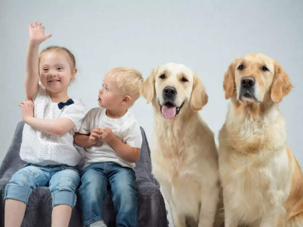 7 tips all dog parents swear by