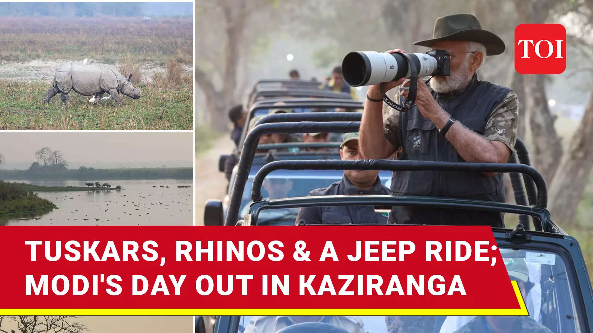 WATCH! PM Modi's Jungle Jamboree at Kaziranga National Park in Assam ...