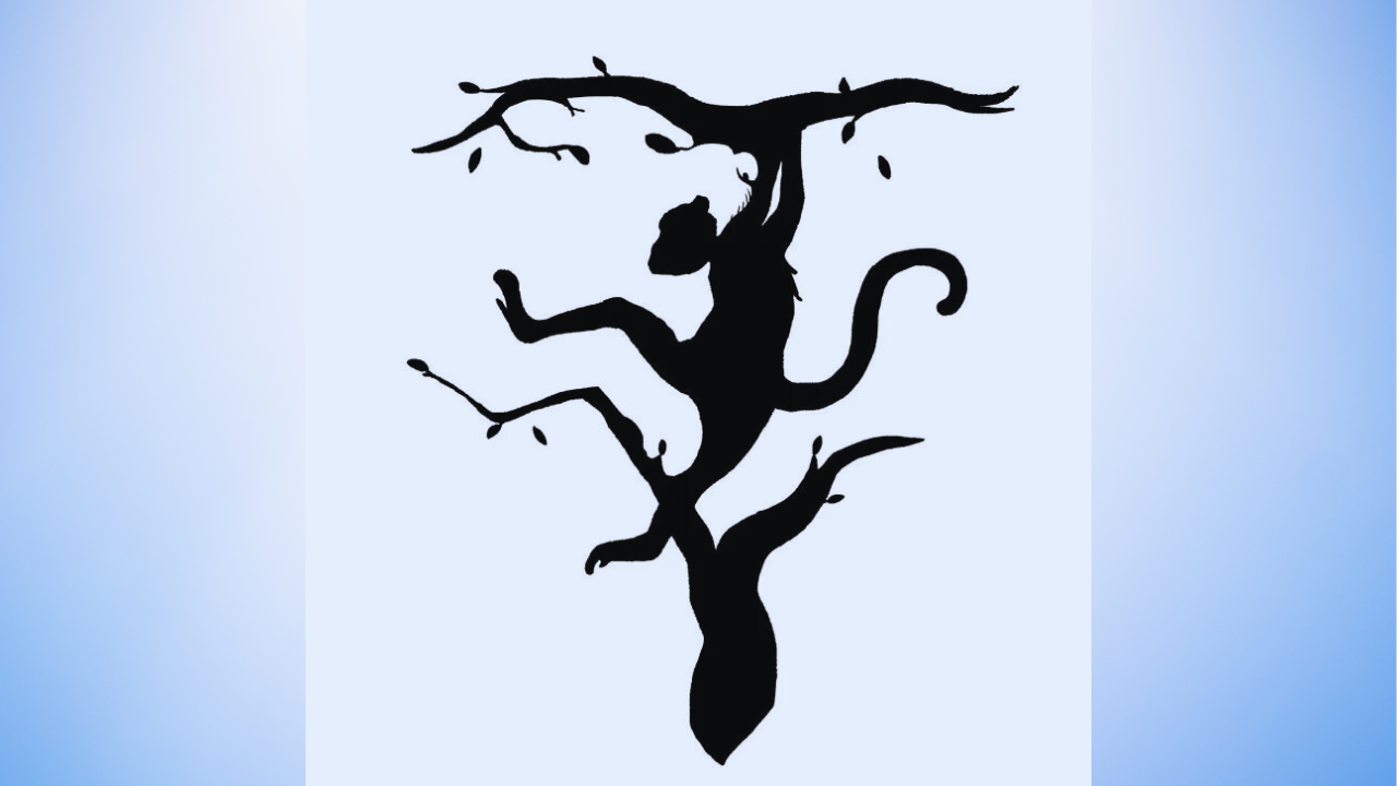 What you see first will reveal a lot about your…