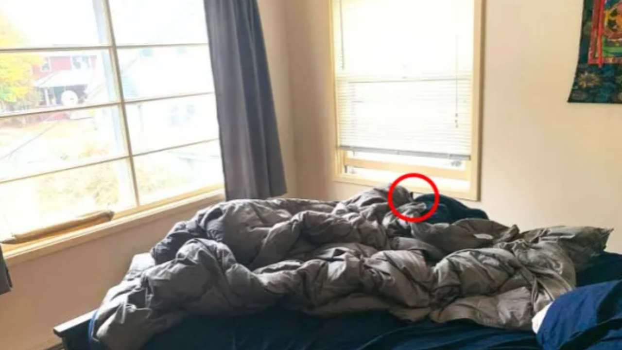 Optical Illusion: Only those with a sharp vision can…