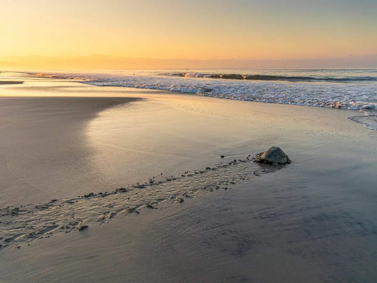 Heard of Anjarle? Visit this undiscovered gem soon to be the Goa of ...