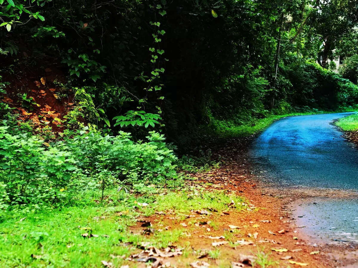 Heard of Anjarle? Visit this undiscovered gem soon to be the Goa of ...