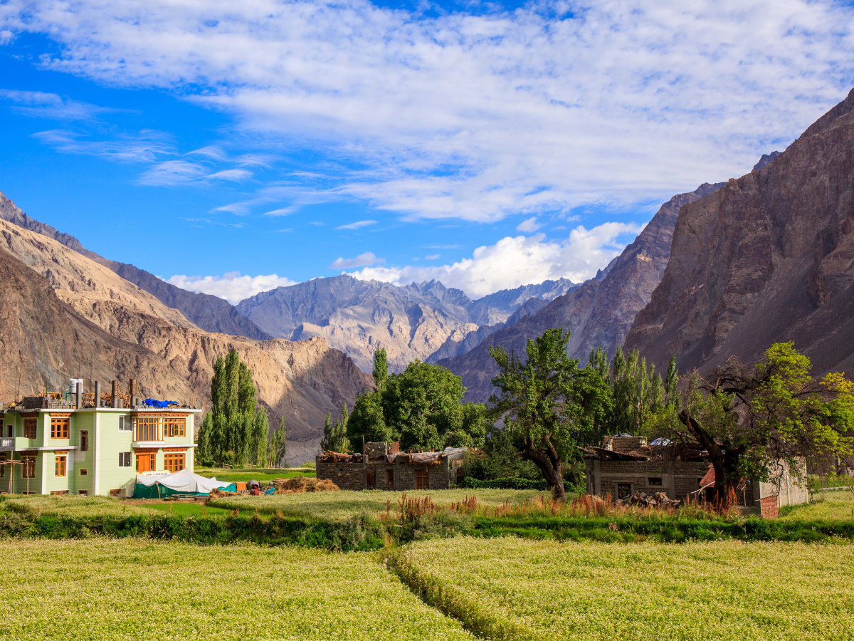 Turtuk, Ladakh’s hidden gem on Indo-Pak border | Times of India Travel