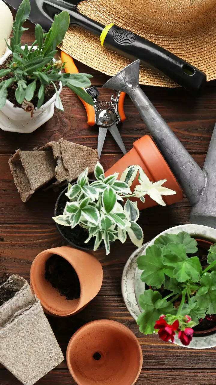 8 gardening equipments everyone with a home garden must have | The ...