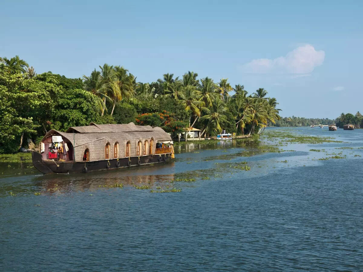 6 Reasons to go river cruising in India | Times of India Travel