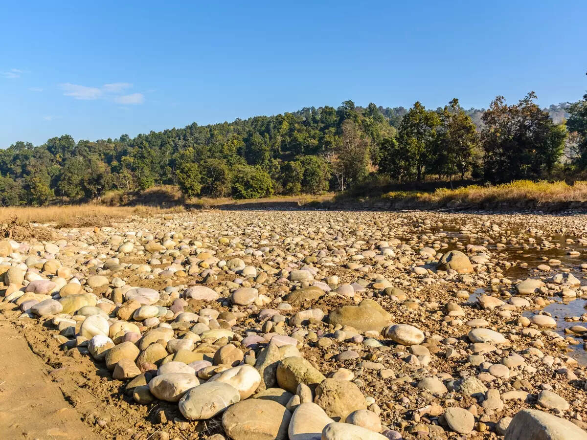 Uttarakhand: What makes Rajaji National Park a unique weekend getaway ...