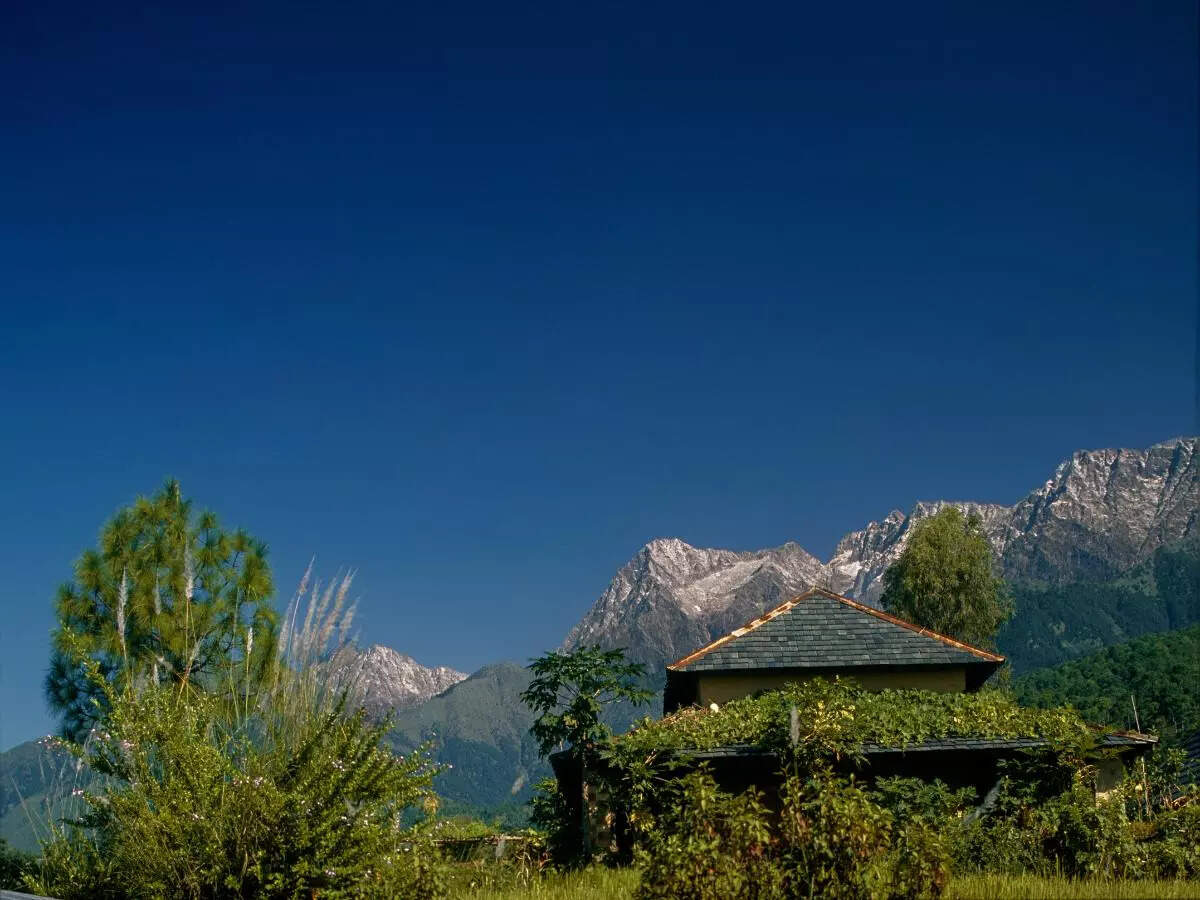 Palampur, the offbeat gem of Himachal Pradesh for a relaxed weekend ...