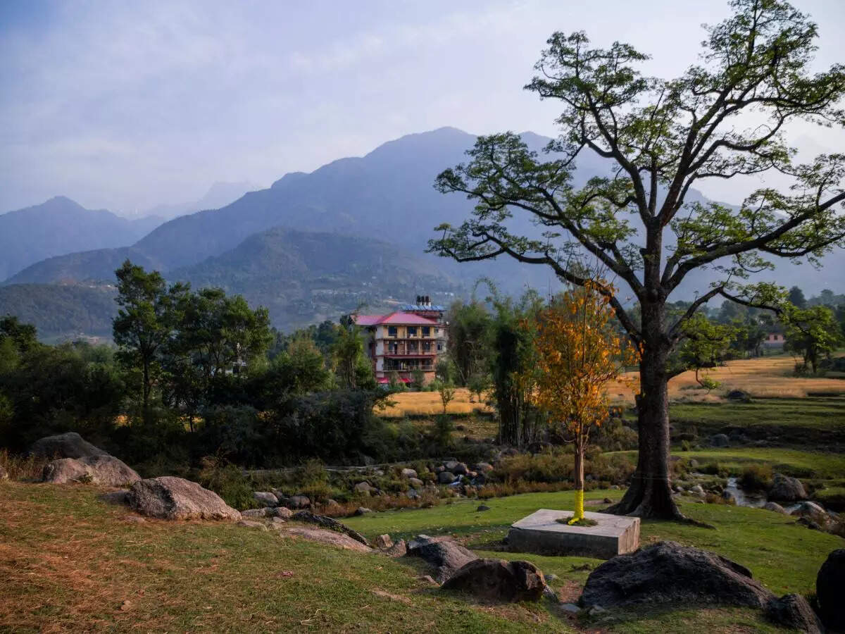 Palampur, the offbeat gem of Himachal Pradesh for a relaxed weekend ...