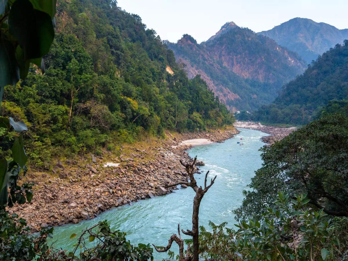 Uttarakhand: Here's your guide to river rafting in Rishikesh | Times of ...