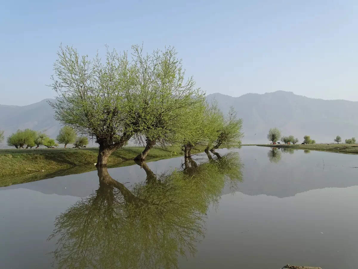 Wular Lake: Kashmir beyond Dal Lake: Exploring Wular Lake, India’s ...