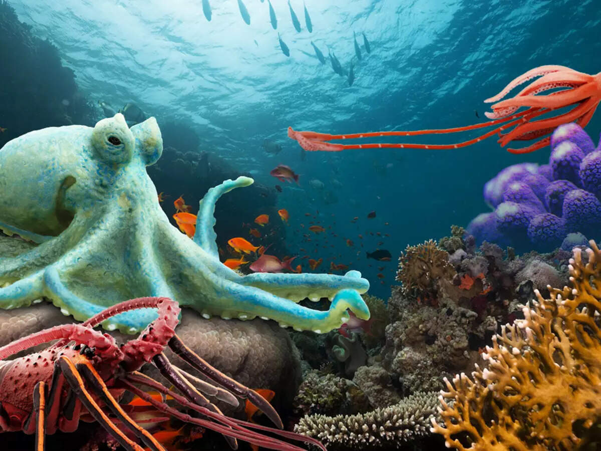 7 animals that do not have bones