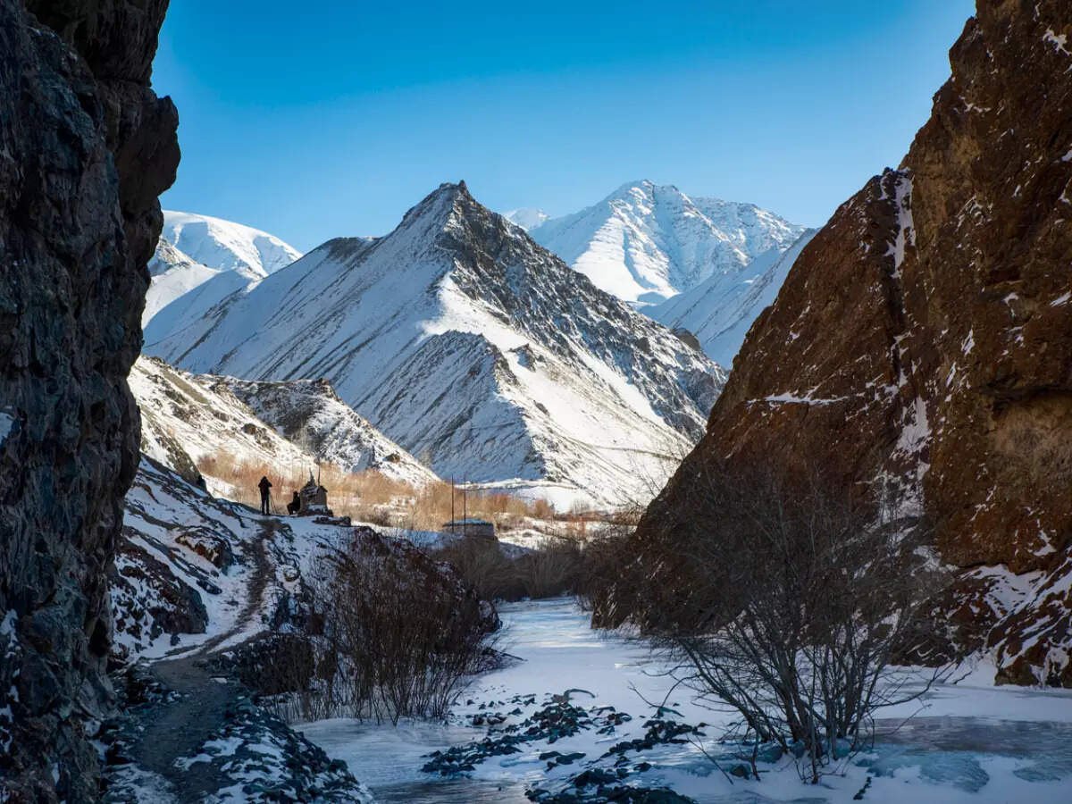 Ladakh: 5 reasons to visit Hemis National Park, India's largest ...