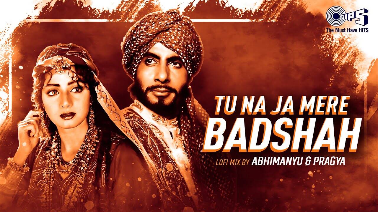 Experience The Latest Hindi Music Video For Lofi Mix Tu Na Ja Mere ...
