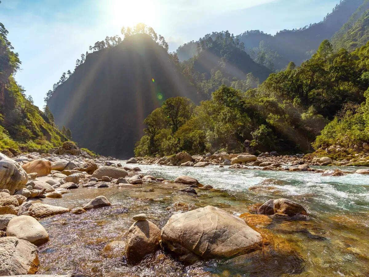 Experience of magic of Munsiyari this summer: A guide to an ...