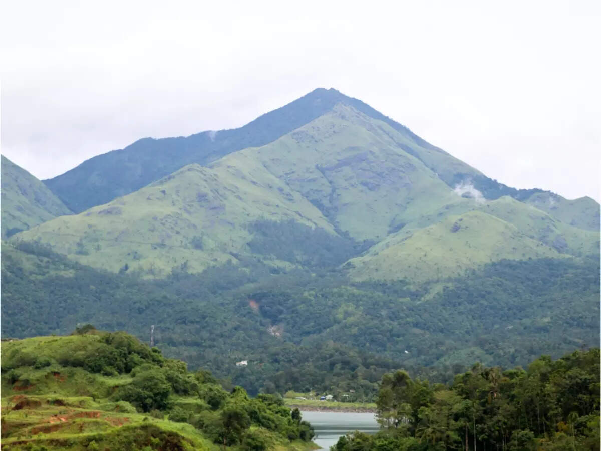 6 things that make Wayanad a summer favourite | Times of India Travel