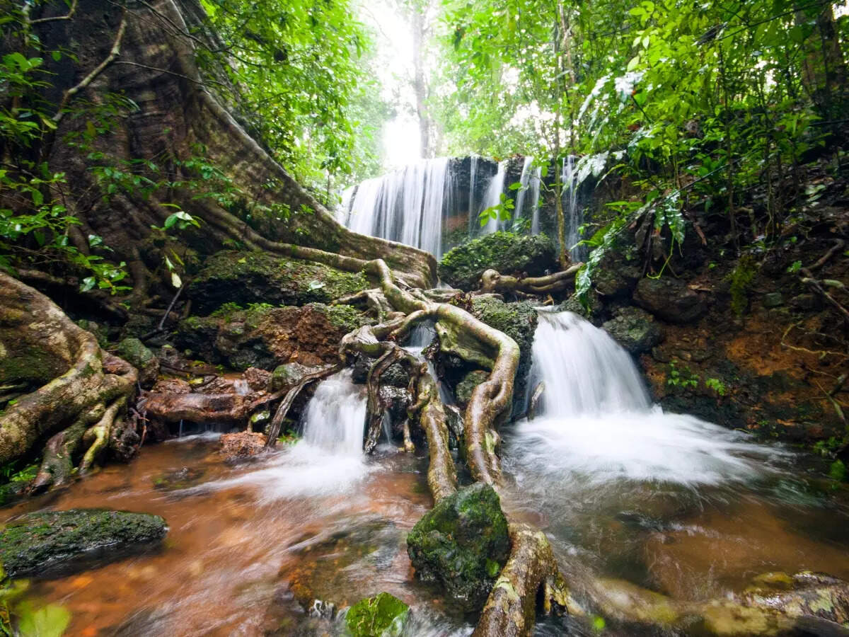 Karnataka: What’s inside Agumbe, the Cherrapunji of the South? | Times ...