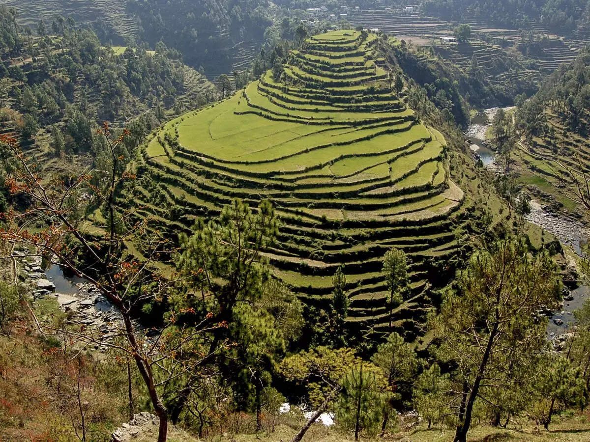 6 reasons why Ranikhet in Uttarakhand is a perfect offbeat summer ...