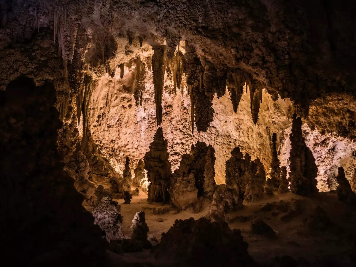 Bastar region, the enchanting tribal heartland of Chhattisgarh | Times ...