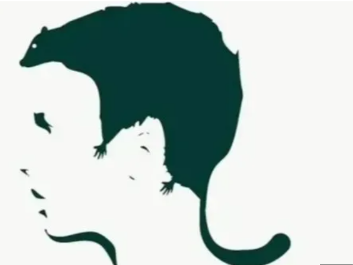 Optical illusion: What you see first reveals your biggest fears