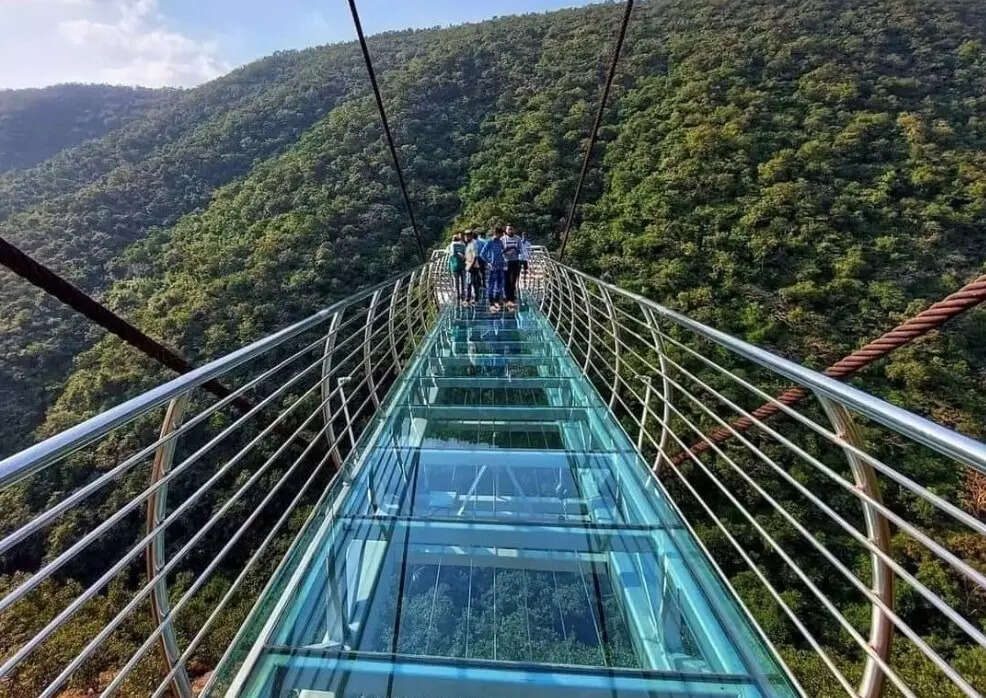 Glass bridges in India worth travelling for | Times of India Travel
