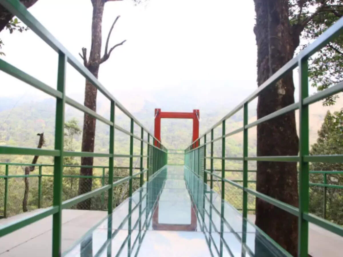 Glass bridges in India worth travelling for | Times of India Travel