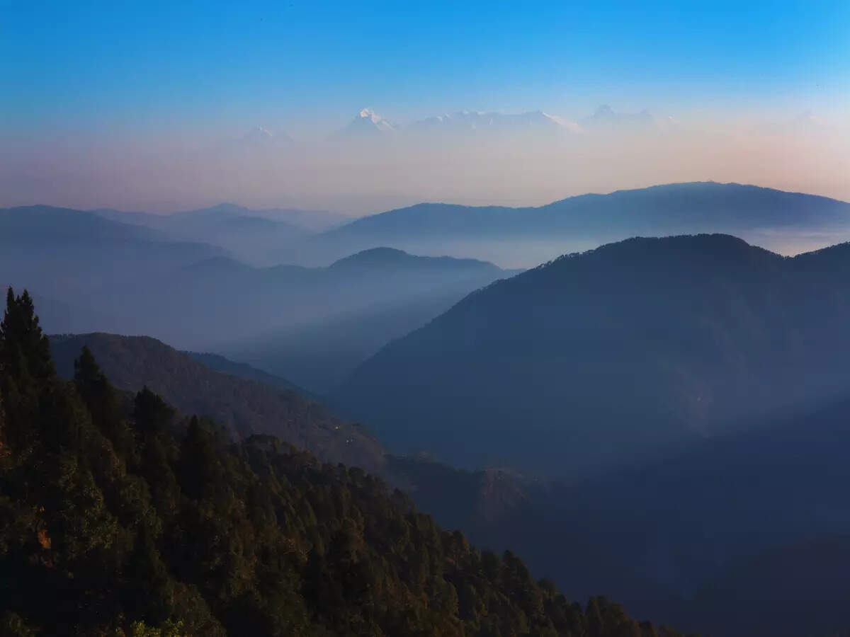 Forget Nainital, here are 5 reasons why you need to pick Pangot instead ...