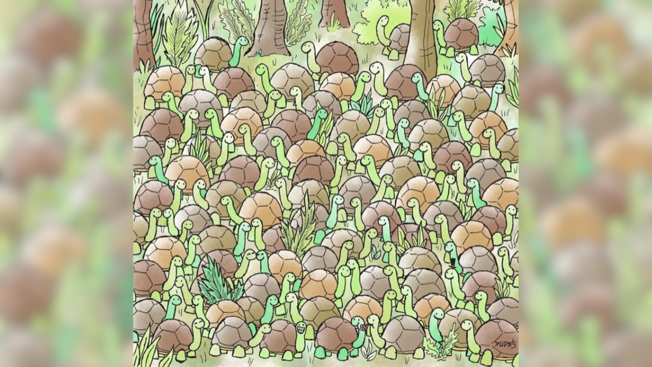 Optical Illusion: Can you find a hidden snake in this…