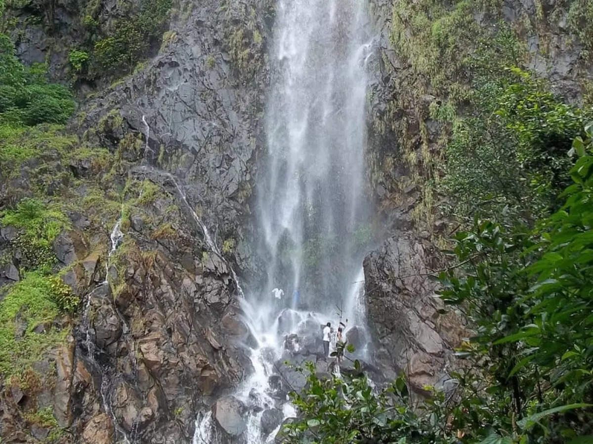 Chase offbeat waterfalls in Goa this monsoon season | Times of India Travel