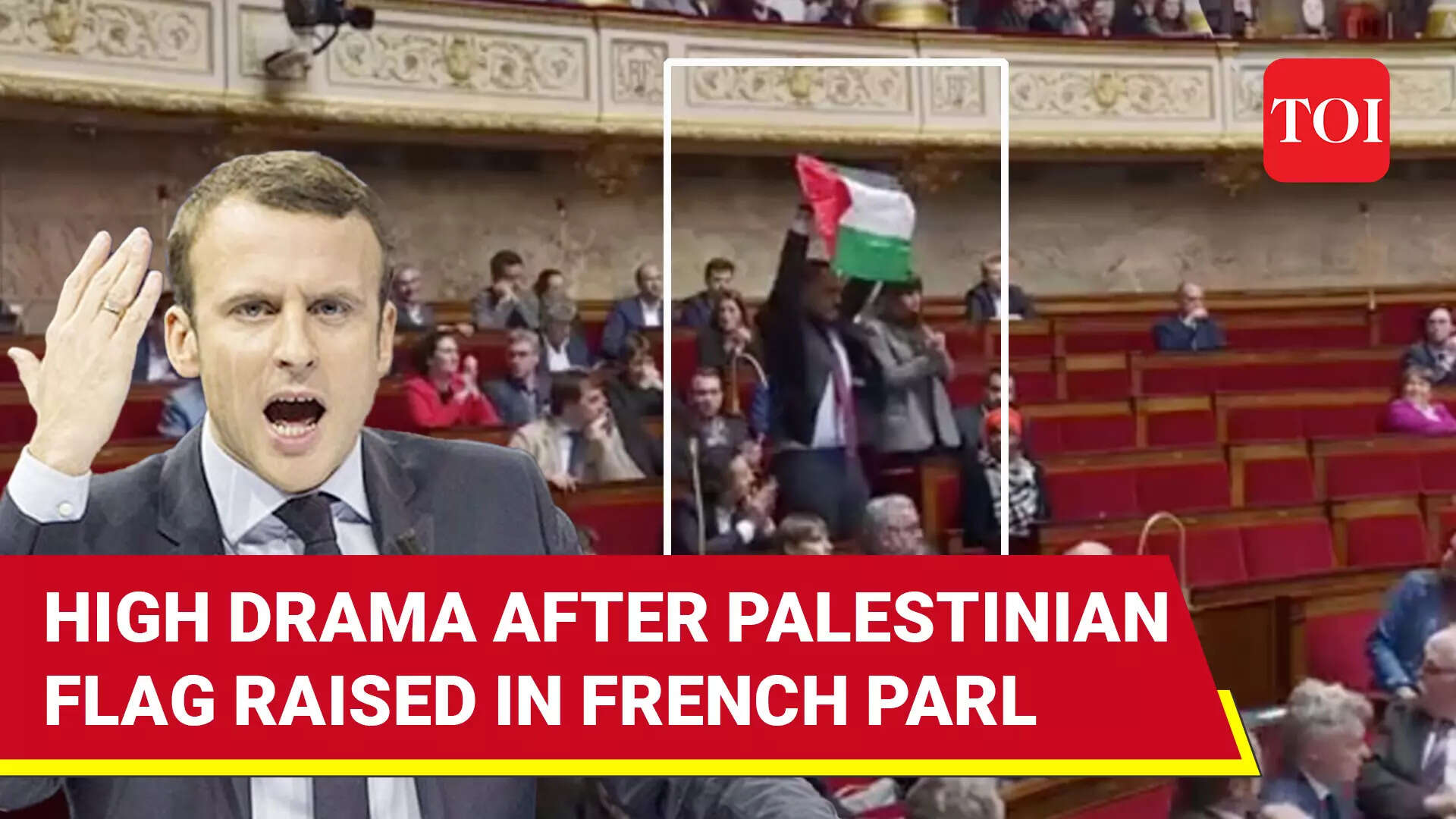 Pro-Palestine Protests In French Parliament; Macron Says 'No Emotional ...