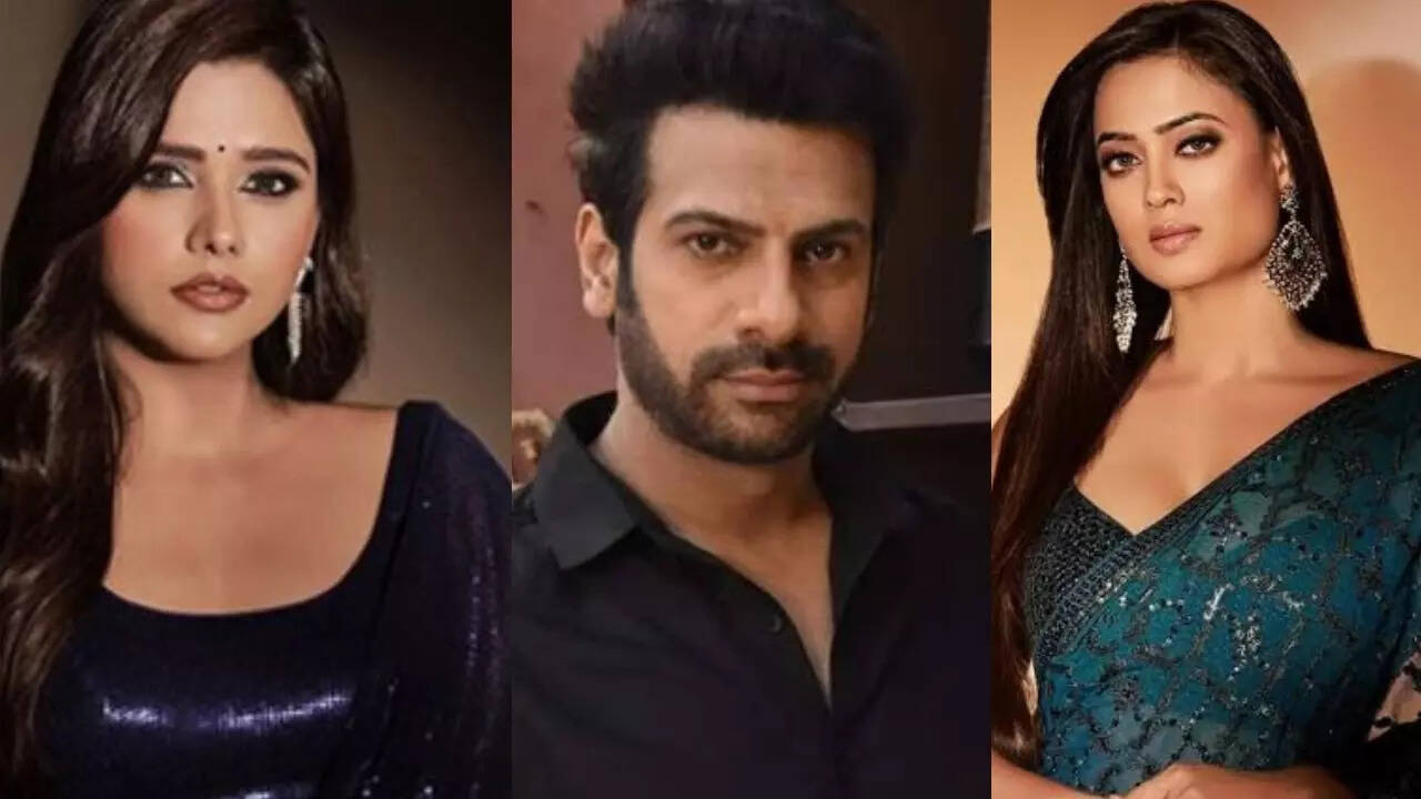 From Dalljiet Kaur to Shweta Tiwari, Karan Veer Mehra, Charu Asopa and ...