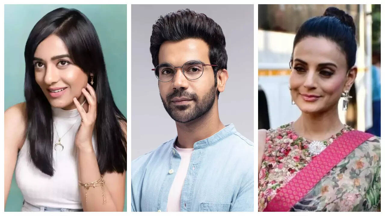 Amrita Rao, Ameesha Patel, Rajkummar Rao: Bollywood actors who opened ...