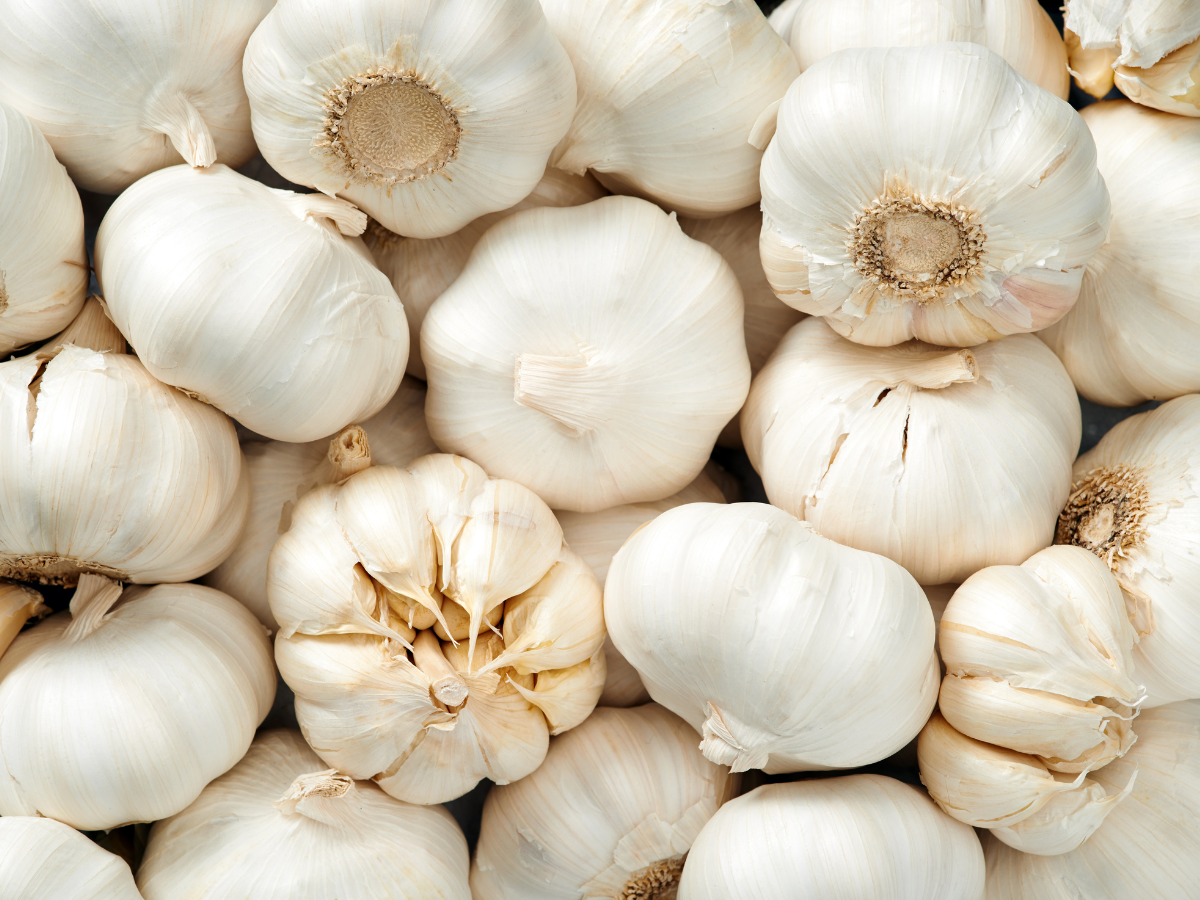 Garlic Benefits: 5 benefits of eating 1 raw garlic daily