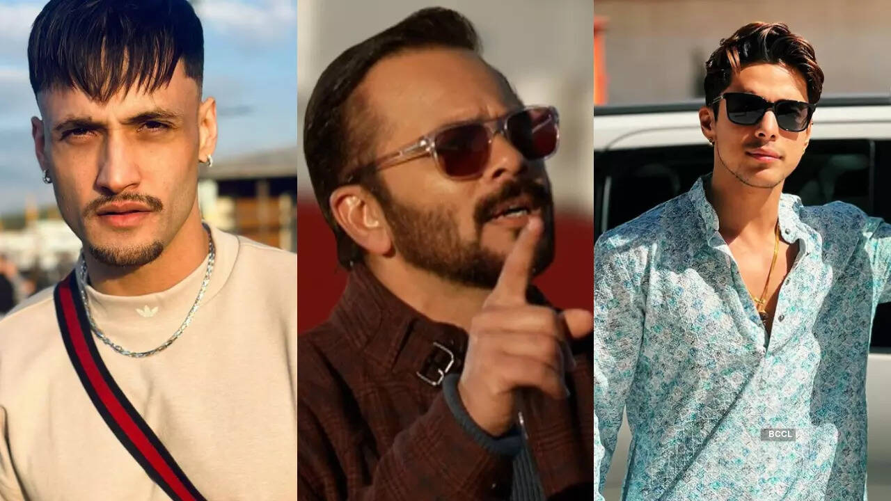 Khatron Ke Khiladi: From Asim Riaz to Pratik Sehajpal; celebs who had ...