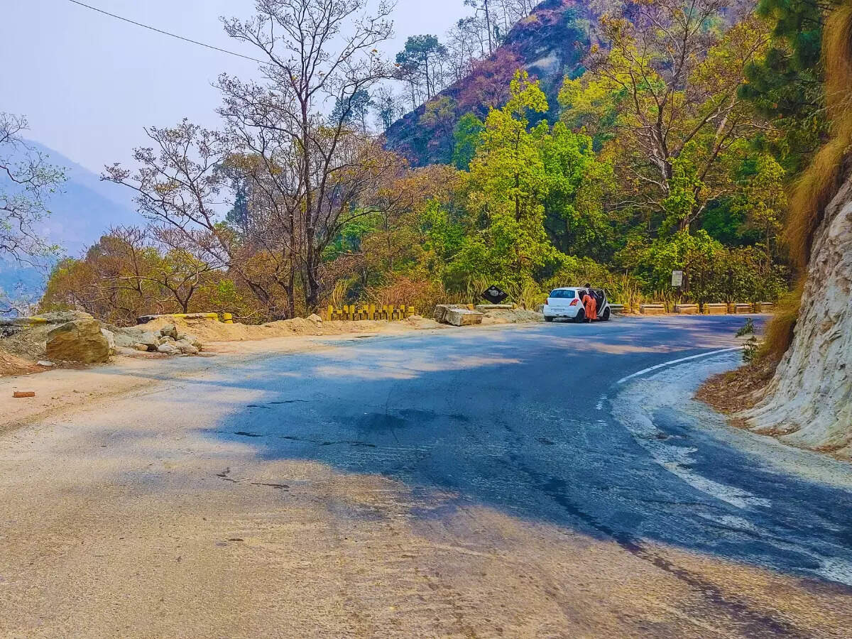 Wild Uttarakhand: Birding in Sattal for an unforgettable wildlife ...