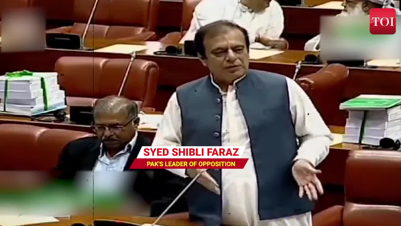 'Learn From India...': Pak Leader Showers Praise While Calling New Delhi 'Enemy' | Viral Video