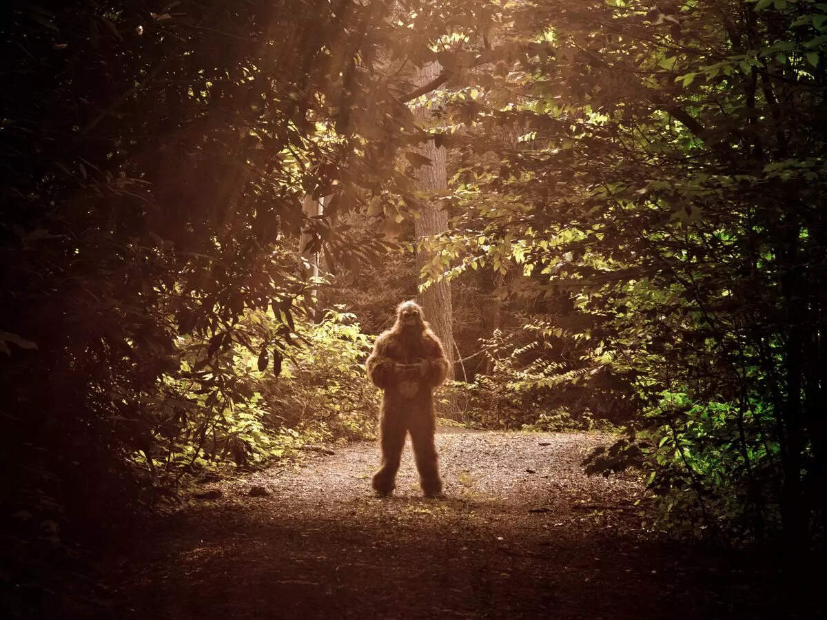 8 strangest unexplained phenomena that exist in the world