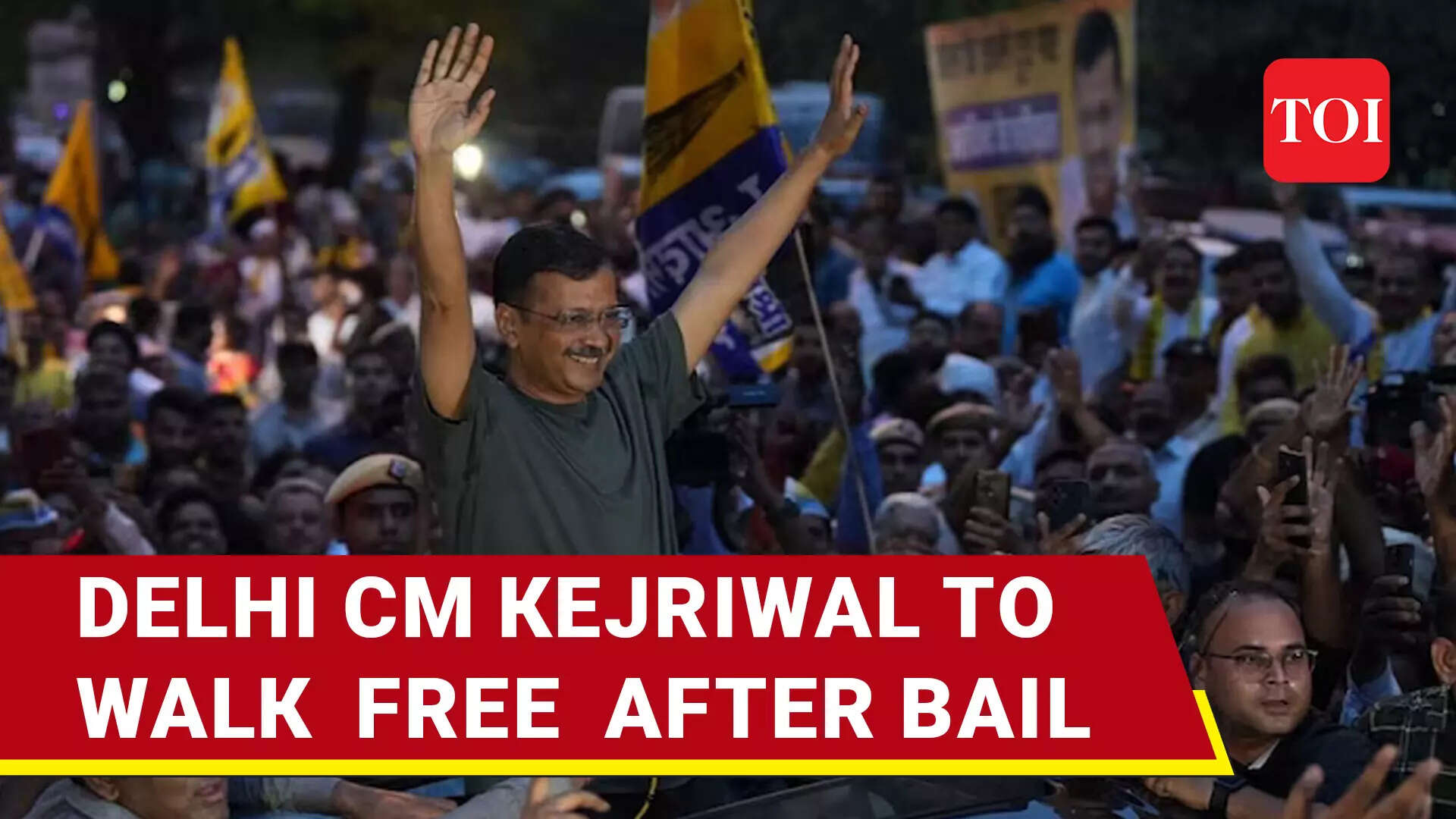 Big Win For Kejriwal; Delhi CM Gets Bail In Excise Policy Case After June 2 Surrender | Watch