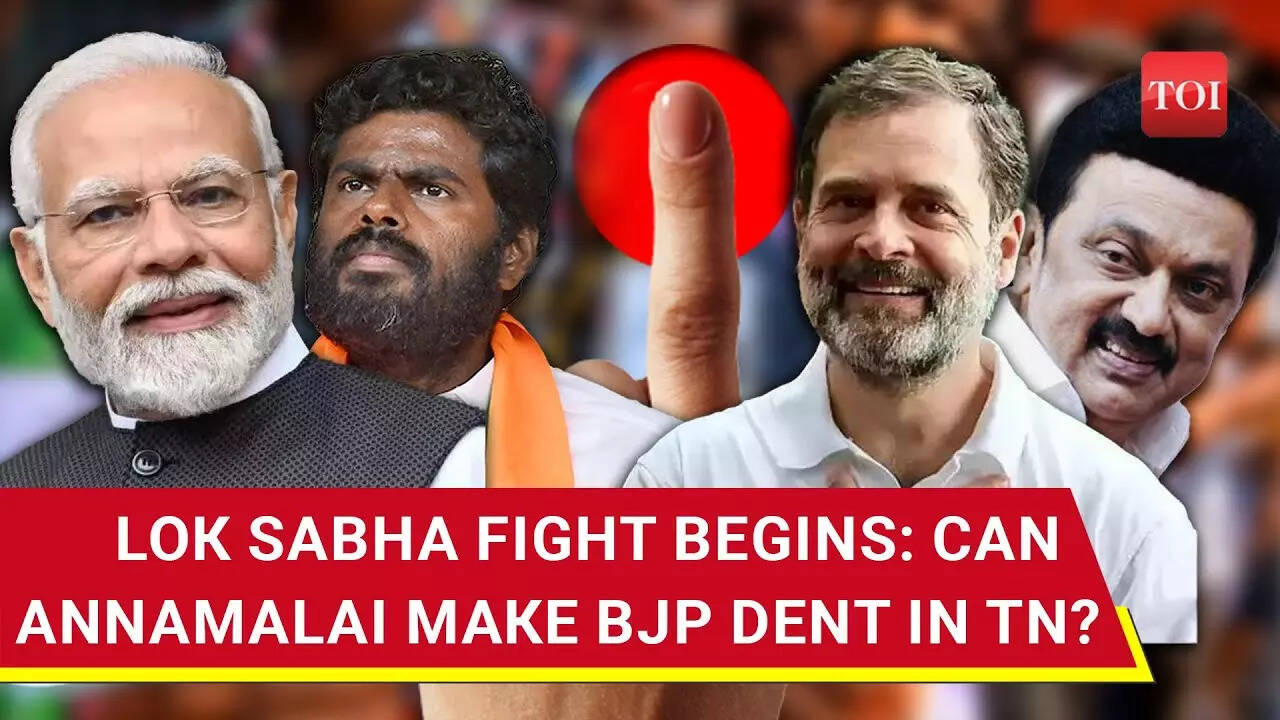 'Abki Baar 400 Paar': Why Tamil Voters Are Key For BJP's Ambitious Slogan I LS 2024 I Phase 1 Voting