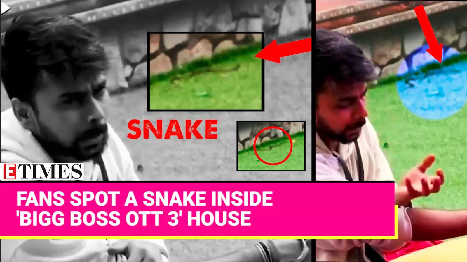 'Bigg Boss OTT 3' Fans Spot Snake Inside The House | Here's The Truth ...